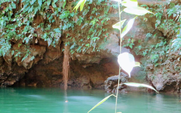 Belize in 12 Days From Reef to Jungle